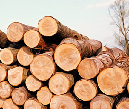 Timber me this – Suke's Uke